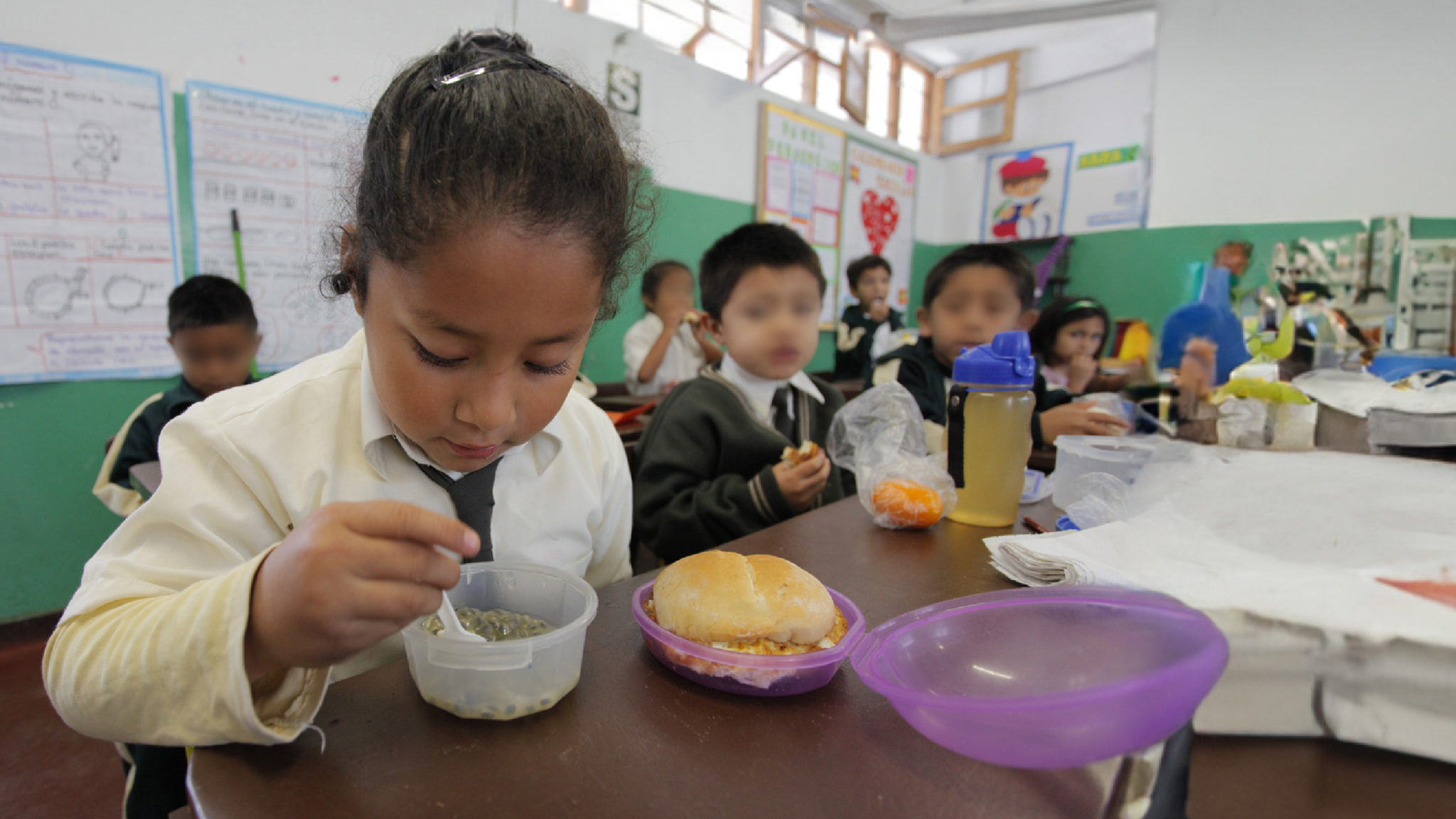 Niños: el principal blanco de la anemia en el Perú - ANACAB
